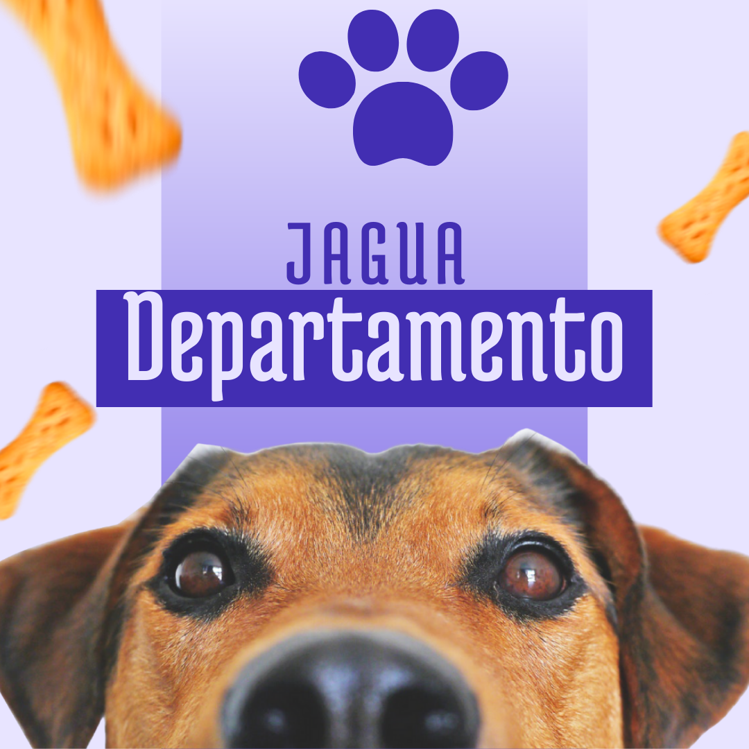 Trambólico - Paraguayología